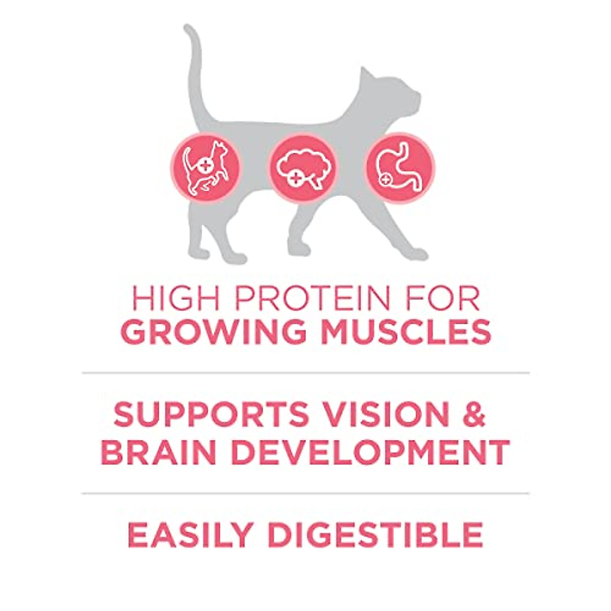 Purina ONE High Protein, Natural Dry Kitten Food, +Plus Healthy Kitten Formula - 7 lb. Bag