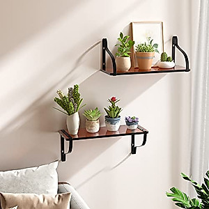 Acrylic Floating Shelves,15.7"Floating Shelves Wall Mounted Set of 2, Sturdy Thickness 10mm(0.4inch) Acrylic Shelves for Bedroom, Bathroom, Living Room, Kitchen, Laundry Room Storage & Decoration