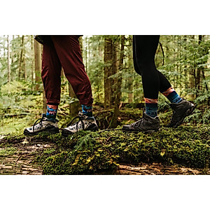 Swiftwick- VISION SIX Impression, Parks Edition, Running and Cycling Socks (Glacier, Large)