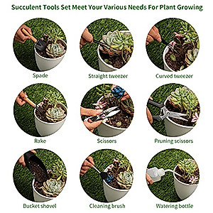 11Pcs Succulent Tools,Mini Garden Tools,Succulent Watering Bottle as Plant Accessories,Succulent Gardending Hand Tools Kit for Seedling Soil,Caring Succulent,Houseplent,Gifts for Woman (No Flowerpot)