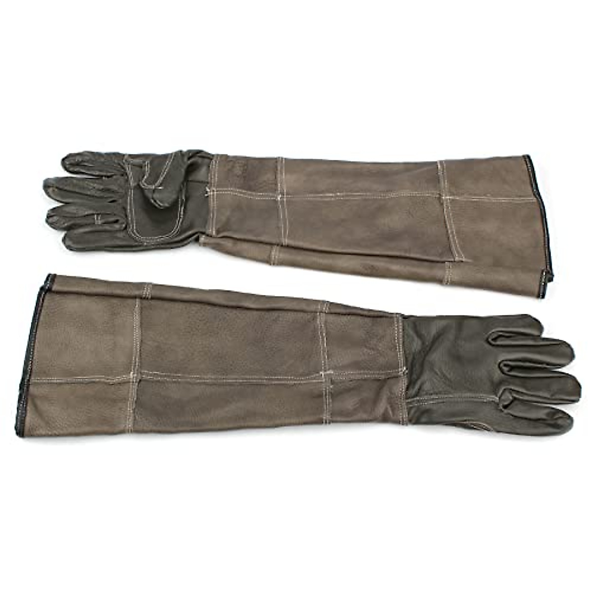 Alfie Pet - Kristen Waterproof Animal Handling Protection Gloves for Cat, Dog, Bird, Snake, Parrot and Lizard