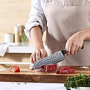 Latim's Professional Chef Knife 8 inch，Damascus Kitchen Knives Made of Japanese VG-10 Stainless Steel with Unique Pattern，Ultra Sharp Blade and Ergonomic Handle