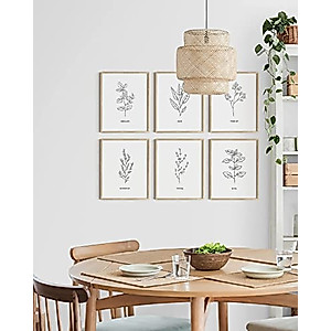 HAUS AND HUES Kitchen Herbs Wall Art Decor for Kitchen Herb Art Prints and Kitchen Signs Wall Decor | Herb Prints Kitchen Wall Art Kitchen Prints for Wall Herb Decor (8"X10" UNFRAMED)