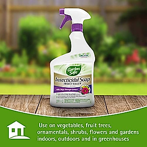Garden Safe Brand Insecticidal Soap Insect Killer 24 Ounces, Ready-To-Use, For Organic Gardening, 2 Pack