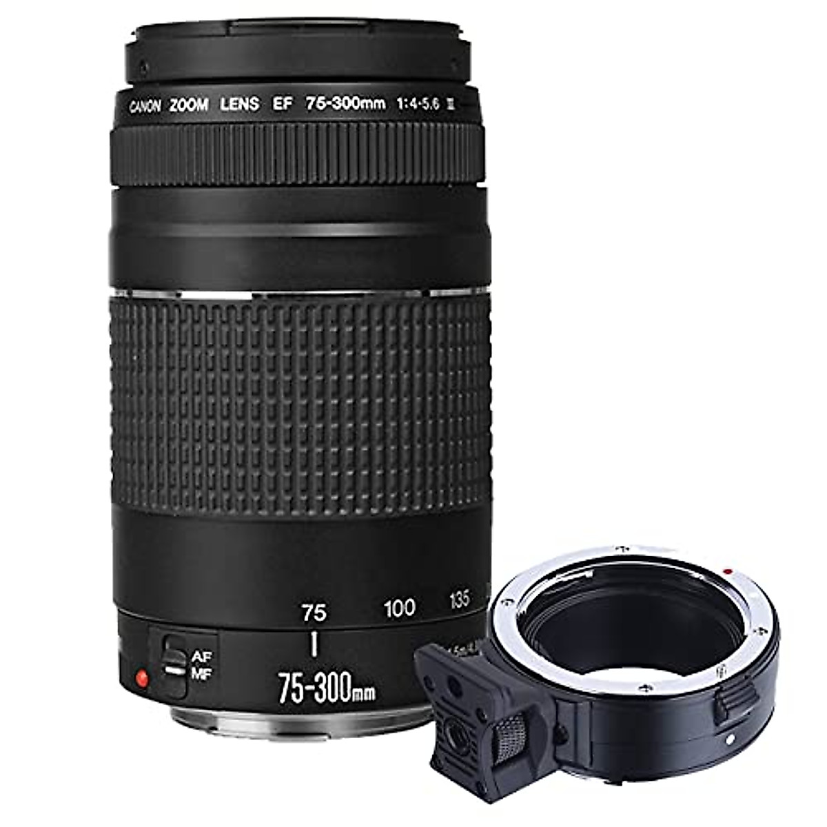 R5 Mirrorless Digital Camera with RF 24-105mm f/4L is USM Lens + 75-300mm F/4-5.6 III Lens + 128GB Memory + Case + Filters + Tripod (26pc Bundle) (Renewed)