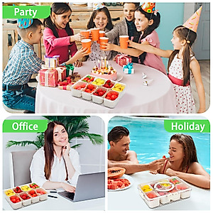 Portable Divided Serving Tray with Lid with Handle, 8 Compartment Snackle Box Container,- For Clear Organizer Fruit, Candy, Nuts,Snacks,Great for parties, beach fun and outdoor camping(8)