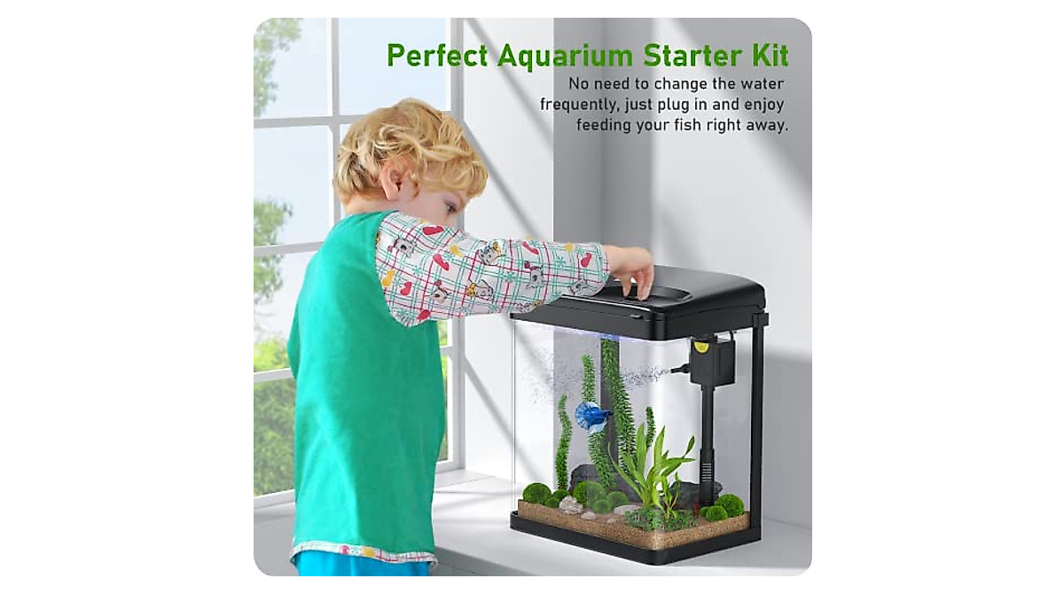 PONDON Betta Fish Tank, 2 Gallon Glass Aquarium, 3 in 1 Fish Tank with ...