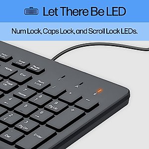 HP 150 Wired Keyboard with Numeric Keypad - Silent-Touch Chiclet Keyboard - Ergonomic, Comfortable - USB Plug-and-Connectivity, LED Indicators (664R5AA, Black)