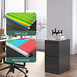 BIZOEIRON 2 Drawer File Cabinet with Lock, Metal Vertical Filing Cabinets for Home Office, Steel Storage Cabinet for Hanging Legal/Letter Size Files, Assembly Required (Black)