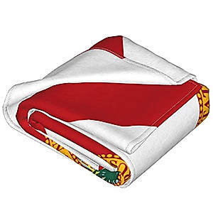 Florida State Flag Flannel Blanket Plush Throw Lightweight Super Soft Microfiber Flag of The US State Flannel Blankets for Couch, Bed, Sofa Ultra Luxurious Warm and Cozy for All, 50*40in