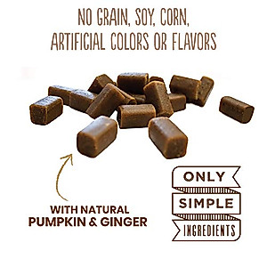 Cloud Star Dynamo Dog Tummy Treats – Soft & Chewy Probiotics Support for Dogs (14 oz. Pumpkin and Ginger) (20212)