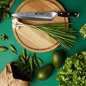 Premium 8 Inch Damascus Chef Knife, VG10 Super Steel 67 Layer High Carbon Stainless Steel Kitchen Knife with Full Tang Handle