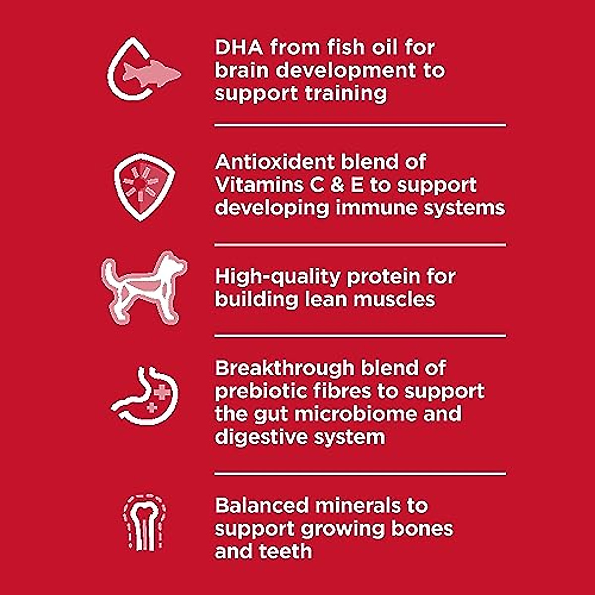 Hill's Science Diet Dry Dog Food, Puppy, Small Bites, Chicken Meal & Barley Recipe, 15.5 lb. Bag