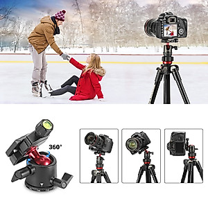 SmallRig Mini Ball Head, Tripod Head Camera 360° Panoramic with 1/4" Screw 3/8" Thread Mount and Quick Release Plate Metal Ball Joint for Monopod, DSLR, Phone, Gopro, Max Load 4.4lbs/2kg - BUT2665