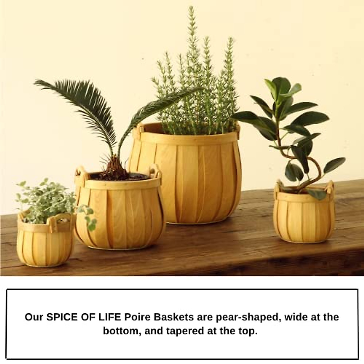 SPICE OF LIFE Poire Cedar Planter Basket - Round, Extra Small - Decorative Wooden Basket with Small Handles, 1mm Thick Wooden Slots, Sturdy, Lightweight, Portable, Rustic, for Indoor Use