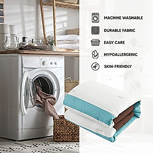 Chic Home 10-Piece Bed in a Bag Comforter Set, Brushed Microfiber,Shams, Decorative Pillows and Sheet Set Included, Queen, Black