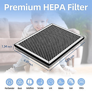 25 Replacement Filter Compatible with Model Air 25 Air Purifier S1/W1/B1, 3-in-1 H13 True HEPA Filter and Activated Carbon House Air Filters- 4 pcs Filters