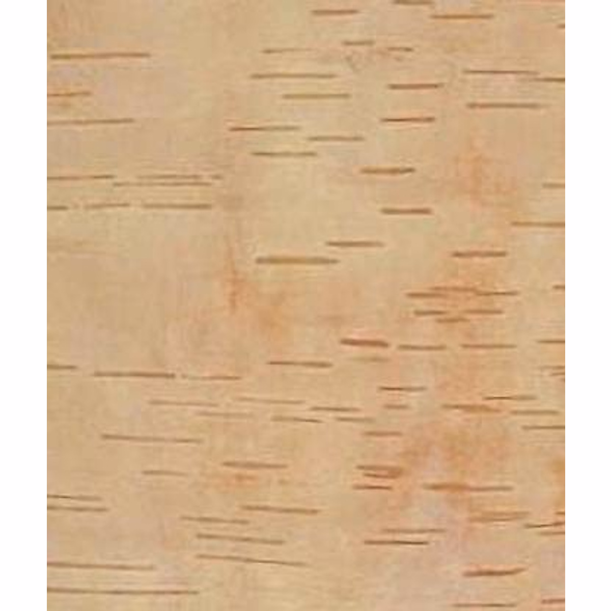 Bhojpatra , BHOJPATRA BARK Sheets , Betula UTILIS for Mantra Siddhi Wooden Yantra (23x 18cm) Wooden Yantra (Pack of light brown hiran150522-1 Bhojpatra big 23x18