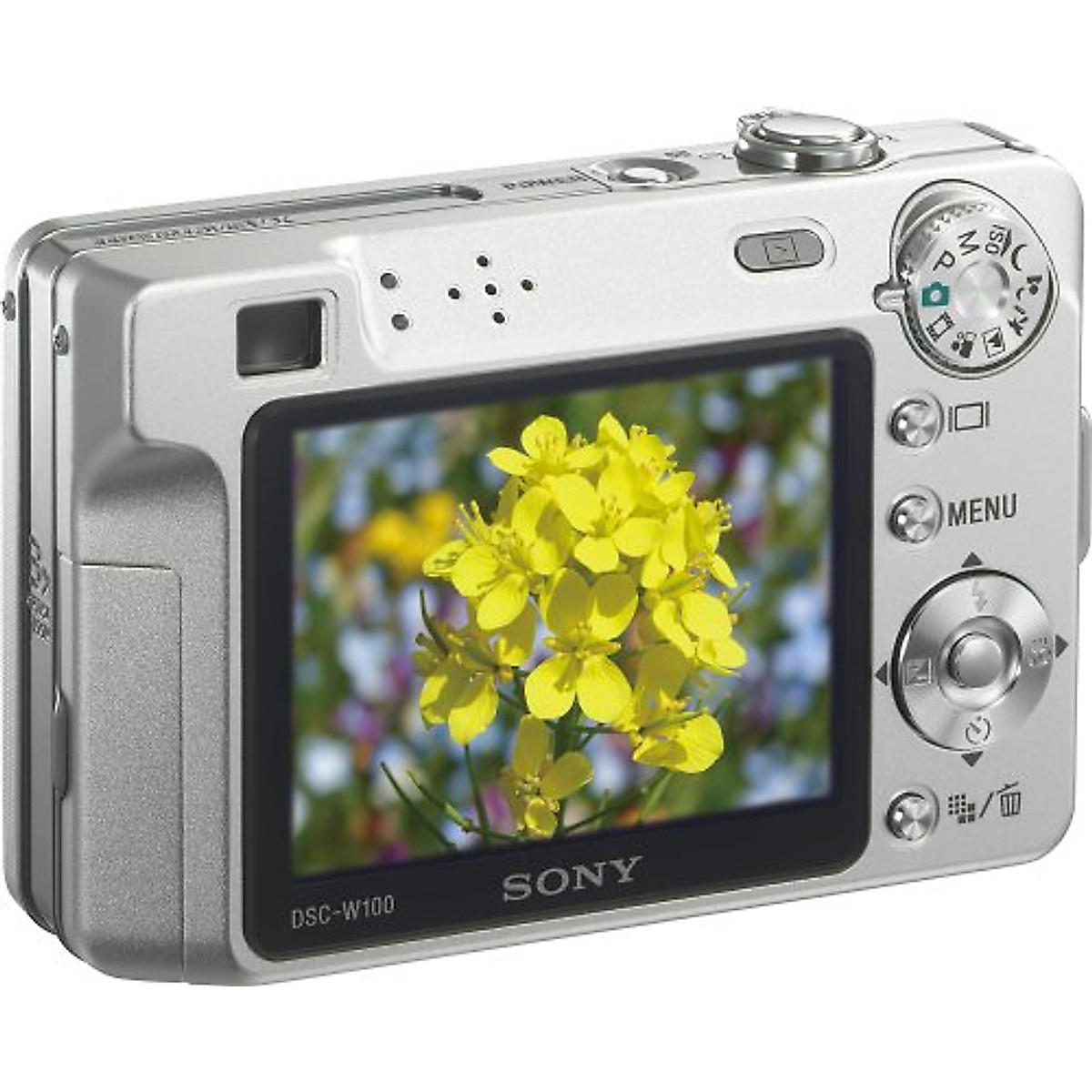 Sony Cybershot DSC-W100 8.1MP Digital Camera with 3x Optical Zoom