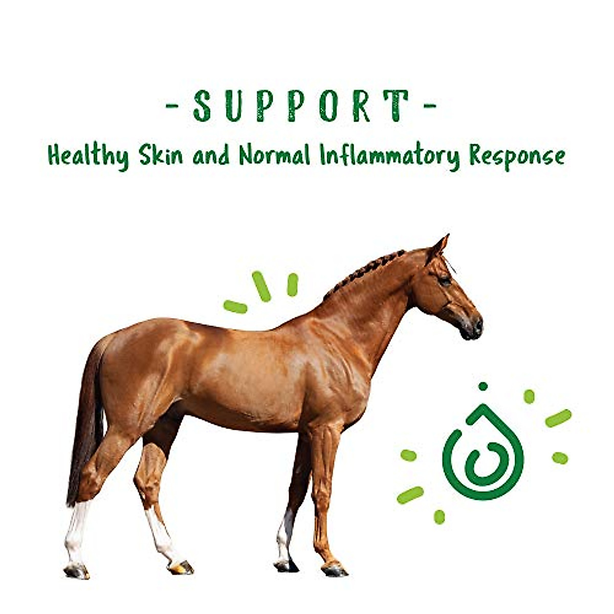 Manna Pro Nature's Force Bug Clear | All Natural Equine Supplement for Insect Control | 2 Pounds