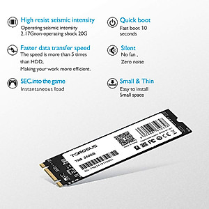 TOROSUS M.2 NGFF M.2 2280 240GB Solid State Drive Disk for Desktop PCs and MacPro