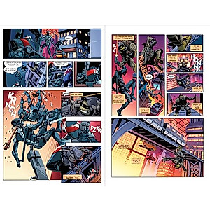 Teenage Mutant Ninja Turtles: The Last Ronin