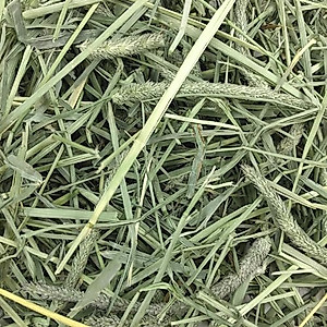 Oxbow Animal Health Western Timothy Hay - All Natural Hay for Rabbits, Guinea Pigs, Chinchillas, Hamsters & Gerbils -Veterinarian Recommended- Grown in the USA-90 oz.