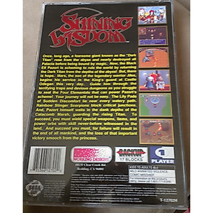 Shining Wisdom - Sega Saturn