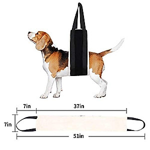 HNYG 30-120 lbs Large Dog Sling for Rear Legs Helps Elderly Dogs with Reduced Mobility, Dog Support K9 Dog Lift Harness, Dog Lifter for Arthritis ACL Rehabilitation Rehab, 7" x 51"