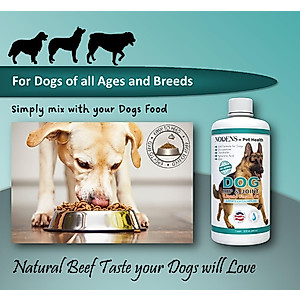 NODENS Dog Hip and Joint - Concentrated Glucosamine for Dogs with Chondroitin – Dog Joint Supplement for Natural Dog Pain Relief Anti-inflammatory for Improved Joint Flexibility and Mobility - 942 ml