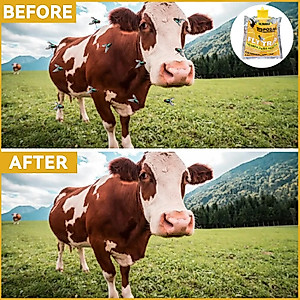 Fly Traps Outdoor, Disposable Hanging Fly Traps Bag, Upgraded 40g Bait