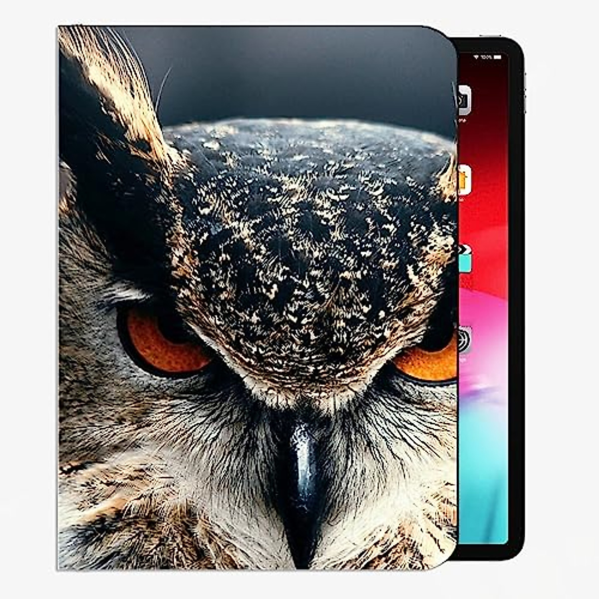YENDOSTEEN Compatible with iPad Air 5th Generation Case 2022， Owl Case48 iPad Cover 10th Generation iPad Case 10.9 inch
