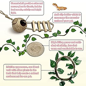 Tfwadmx Crested Gecko Coco Hut Natural Lizard Coconut Shell Hideout Home Mini Condo Reptiles Durable Ladder Cave Habitat Hanging Loop Climbing Porch Hiding Nest House