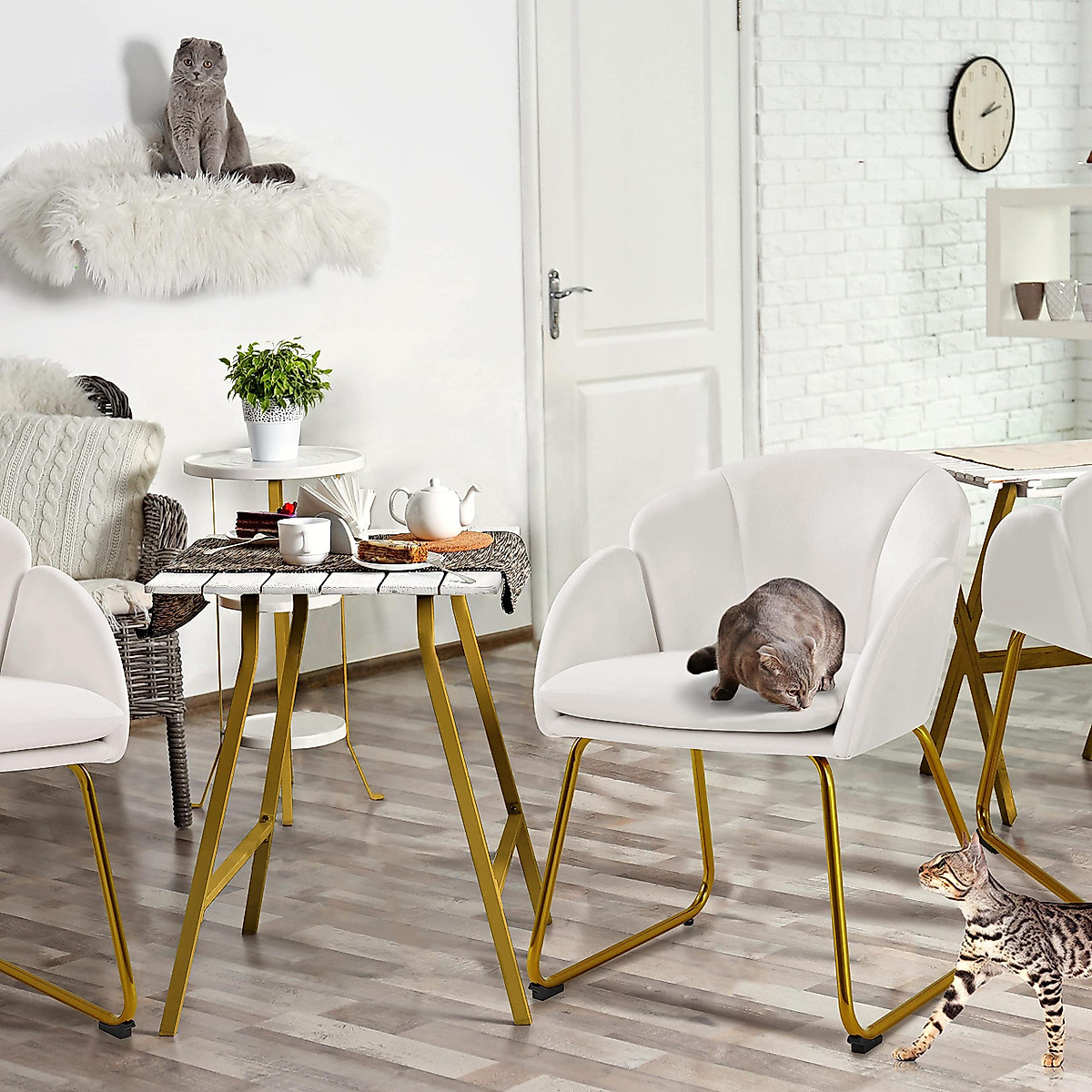 Yaheetech Flower Shape Velvet Armchair, Modern Side Chair Vanity Chair with Golden Metal Legs for Living Room/Dressing Room/Bedroom/Home Office/Kitchen, 2 Pieces, White