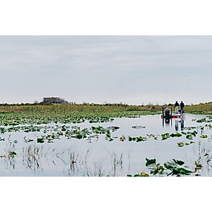 Abu Garcia Zata Spinning Fishing Reel, Green