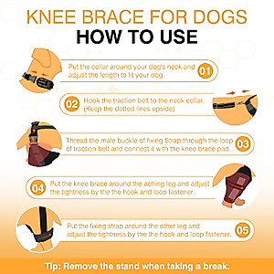 Dog Knee Brace Dog ACL Brace Hind Leg Dog Knee Brace for Torn ACL Hind Leg with Side Stabilizer ACL Brace for Dogs Pain Relief Dog ACL Knee Brace Extra Support Treats Kneecap Dislocation Arthritis-L