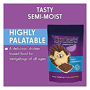Spikes World Ltd Spikes Semi-moist Hedgehog Food 550g