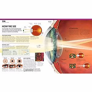 The Complete Human Body, 2nd Edition: The Definitive Visual Guide (DK Human Body Guides)