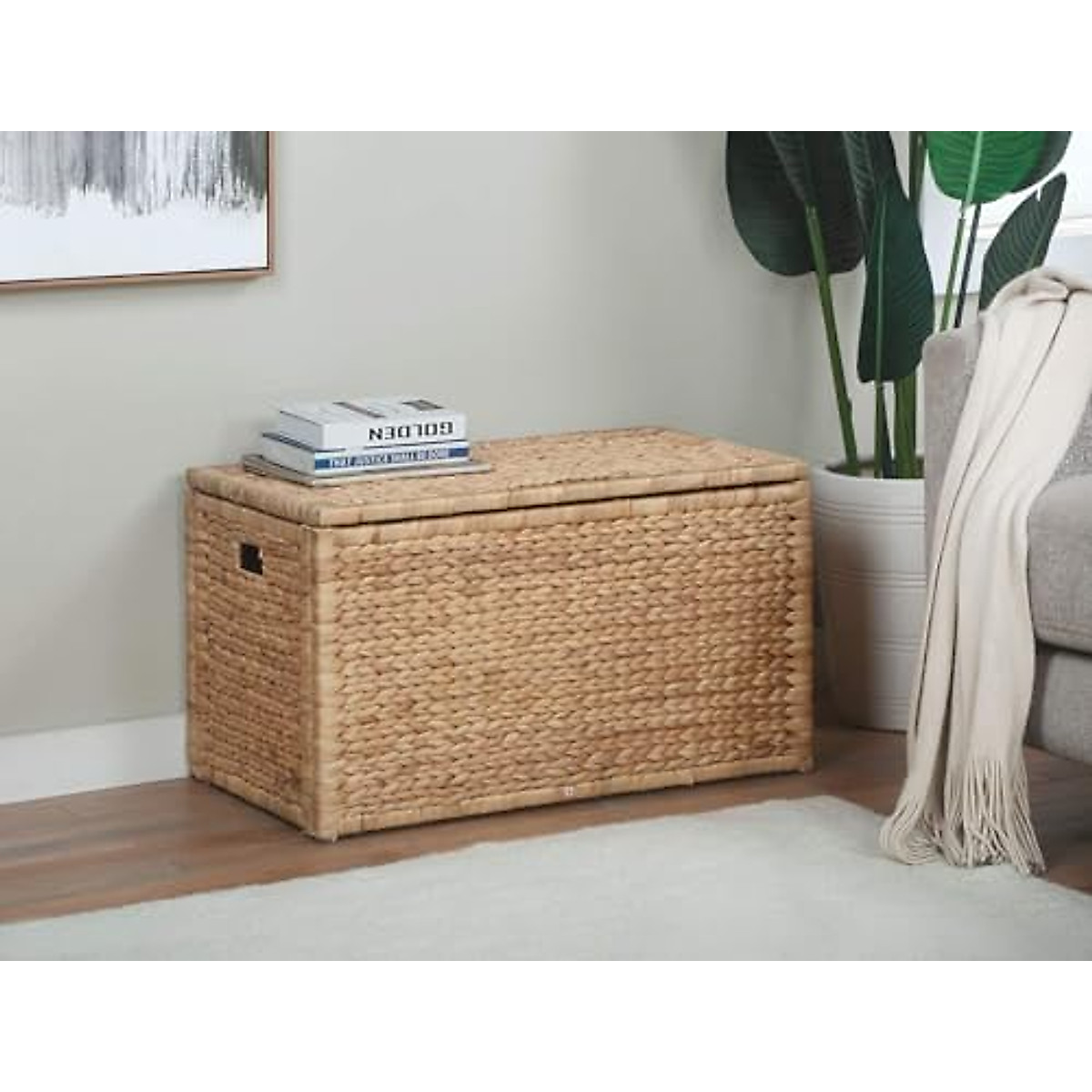 eHemco Heavy-duty Water Hyacinth Wicker Storage Trunk with Metal Frame, 30 by 17.5 by 17.5 Inches, Natural