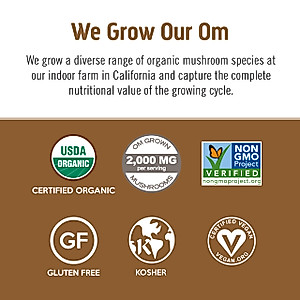 Om Mushroom Superfood Coffee Latte Blend Mushroom Powder, 8.47 Ounce Canister, 30 Servings, Lion's Mane, Cordyceps, Reishi, Chaga, Energy & Mental Clarity Support Supplement