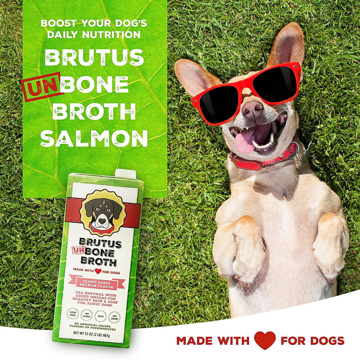 Brutus Vegetable Broth for Dogs 192 oz | All Natural | Made in USA |Omegas & Turmeric for Healthy Skin & Coat |Human Grade Ingredients |Hydrating Dog Food Topper, Gravy & Treat Salmon 6-Packs