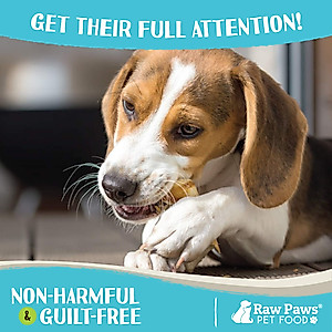 Raw Paws Cow Ears for Dogs - Large, 5-ct - Beef Ears Packed in USA, Thick Dog Cow Ears for Puppies & Dogs, Real Natural Cows Ears from Free Range, Cattle - No Added Hormones, Jumbo Cow Ears Dog Treats