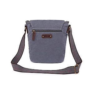 TSD Brand Spring Palm Canvas Crossbody Bag (Grey)