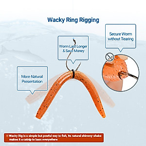 Booms Fishing WR2 Wacky Rig Tool Kit with Coiled Lanyard and 100pcs Fishing O-Rings for Worms