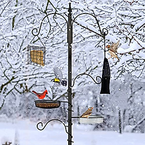 Bird Feeders Bird Feeding Station Bird Feeder Poles,Premium Multi Feeder Hanging Kit with Suet Cage and Bird Bath,Bird Food Finch Sock for Attracting Wild Birds