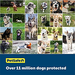 PetSafe Stubborn Dog Ultimate In-Ground Fence Kit w/ 1000 feet 16 Gauge Wire