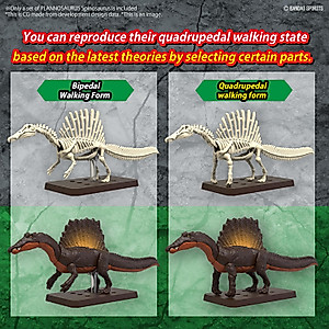 Bandai Hobby - Plannosaurus - #05 Spinosaurus, Bandai Spirits Dinosaur Model Kit