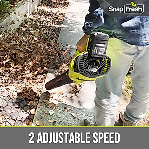 SnapFresh Leaf Blower Cordless - 350 CFM Cordless Leaf Blower with 4.0Ah Battery & Fast Charger, 20V Electric Battery Powered Leaf Blower for Yard Porch Garden