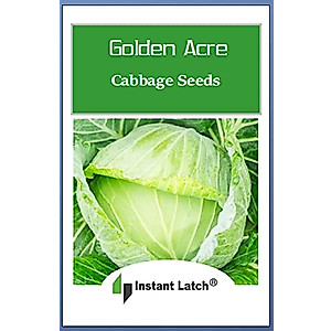 250 Golden Acre Cabbage Seeds | Non-GMO | Fresh Garden Seeds