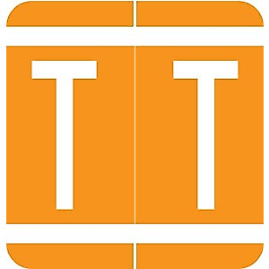 Doctor Stuff - File Folder Labels, Ringbook Sheets Alphabet Letter T, VRE/GBS 8850 - VRAM Series Compatible Alpha Stickers, Orange, 1.3" x 1.25", 200/Package